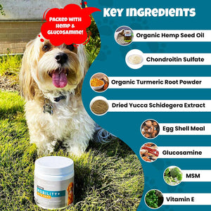 Glucosamine for Dogs + Hemp Mobility – PawMedica